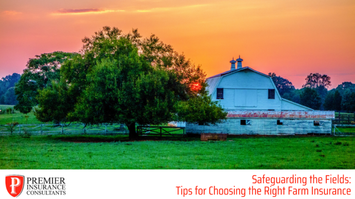 Safeguarding the Fields: Tips for Choosing the Right Farm Insurance ...